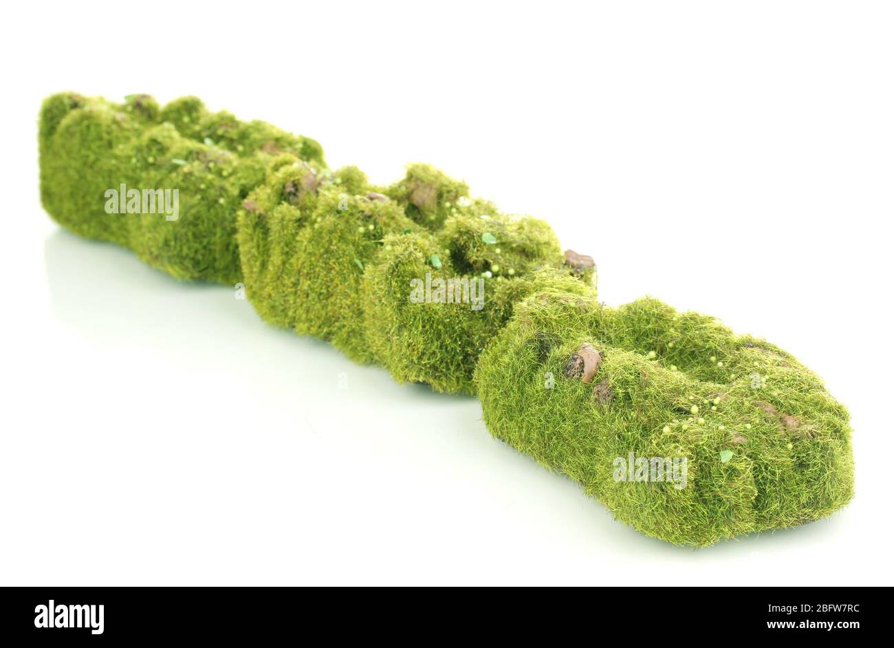 Moss frame Cut Out Stock Images & Pictures - Alamy