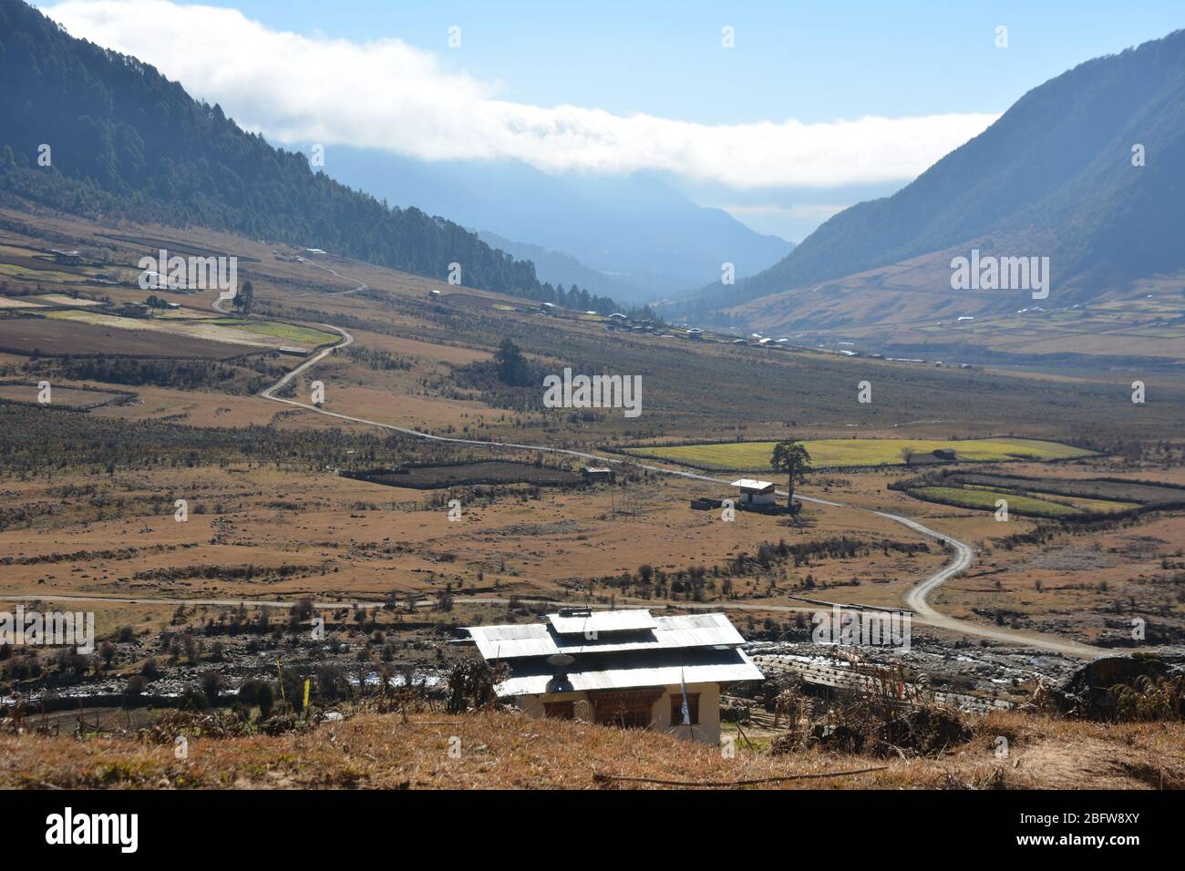 The Phobjikha Valley in Bhutan is a protected area Stock Photo - Alamy
