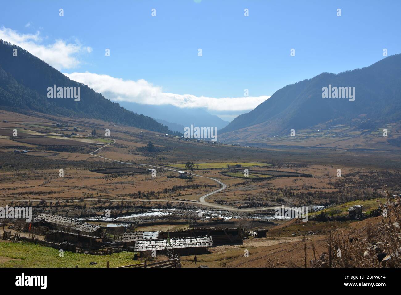 The Phobjikha Valley in Bhutan is a protected area Stock Photo - Alamy