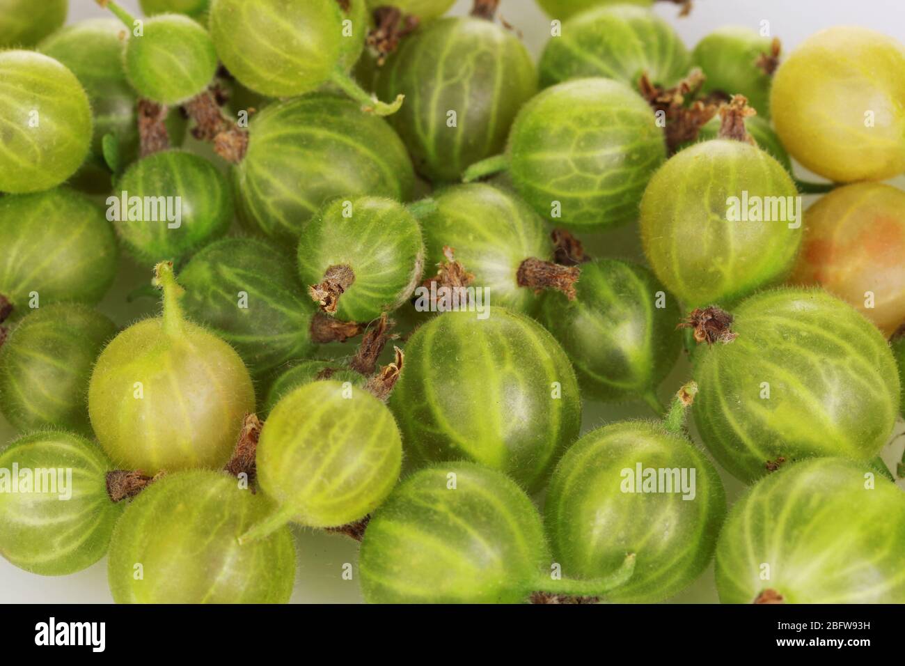 Green gooseberry close-up Stock Photo - Alamy