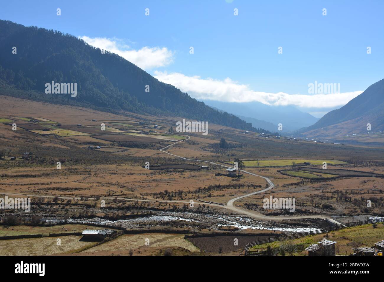 The Phobjikha Valley in Bhutan is a protected area Stock Photo - Alamy