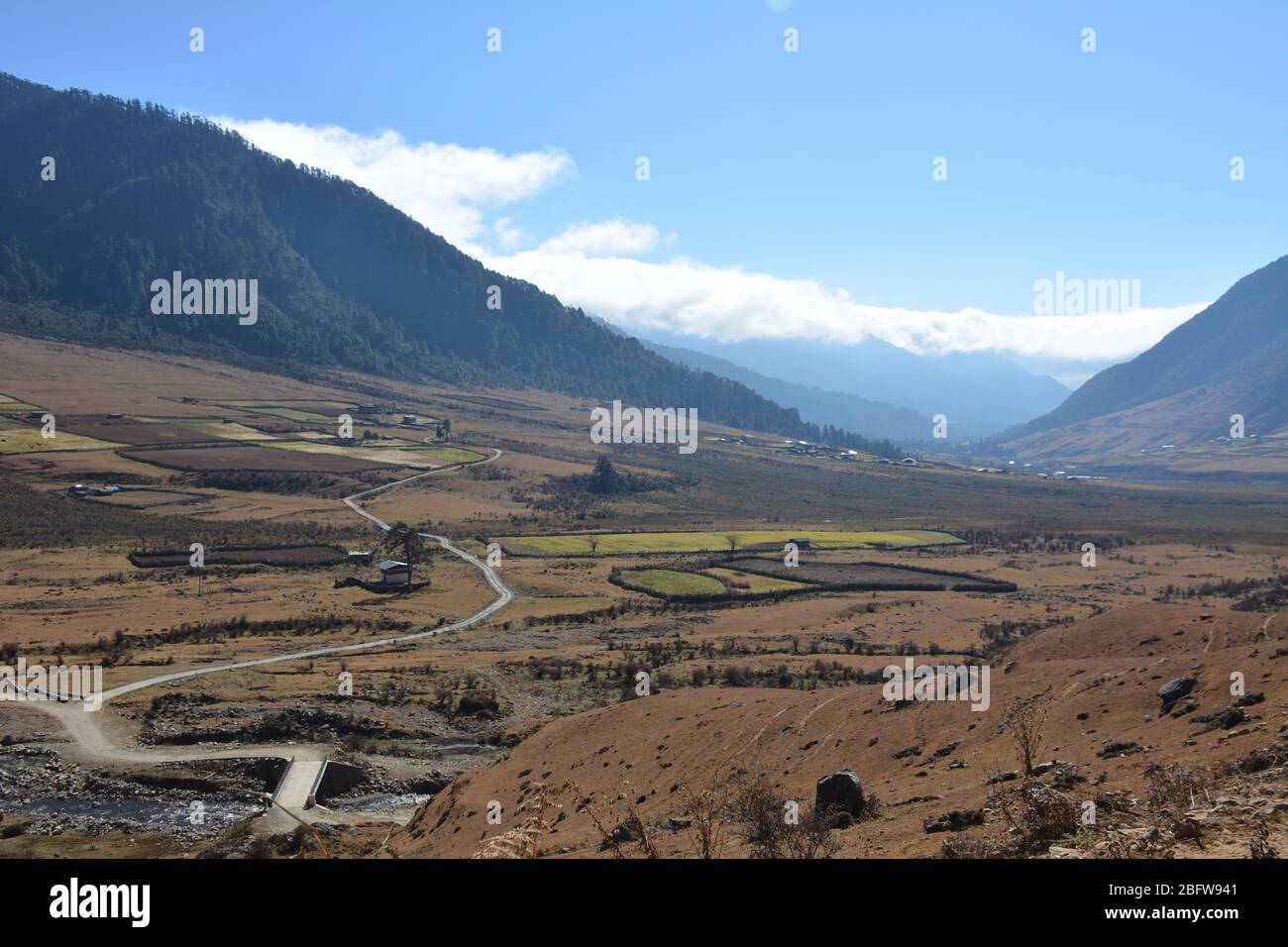 The Phobjikha Valley in Bhutan is a protected area Stock Photo - Alamy