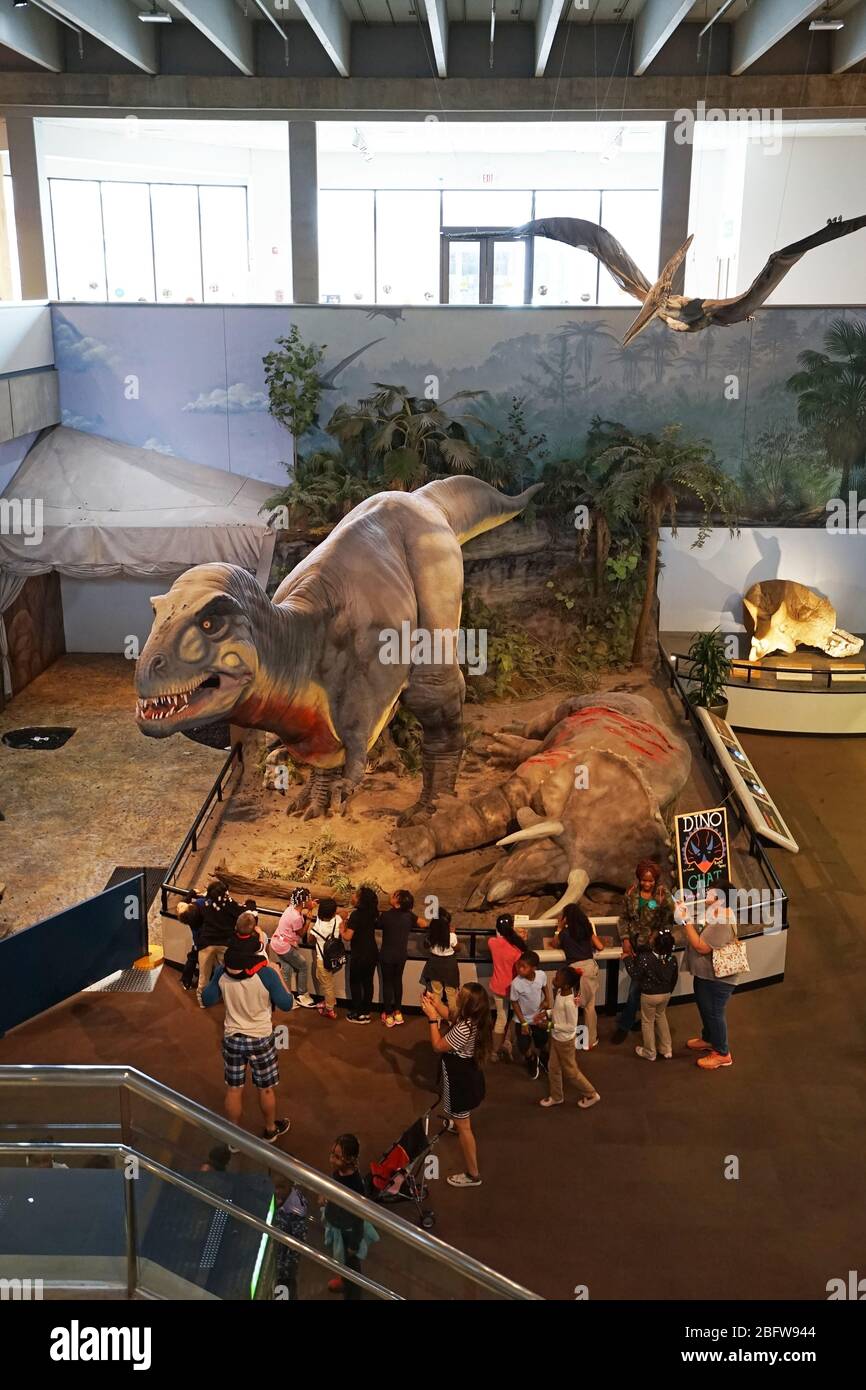 Strong museum of play hi-res stock photography and images - Alamy