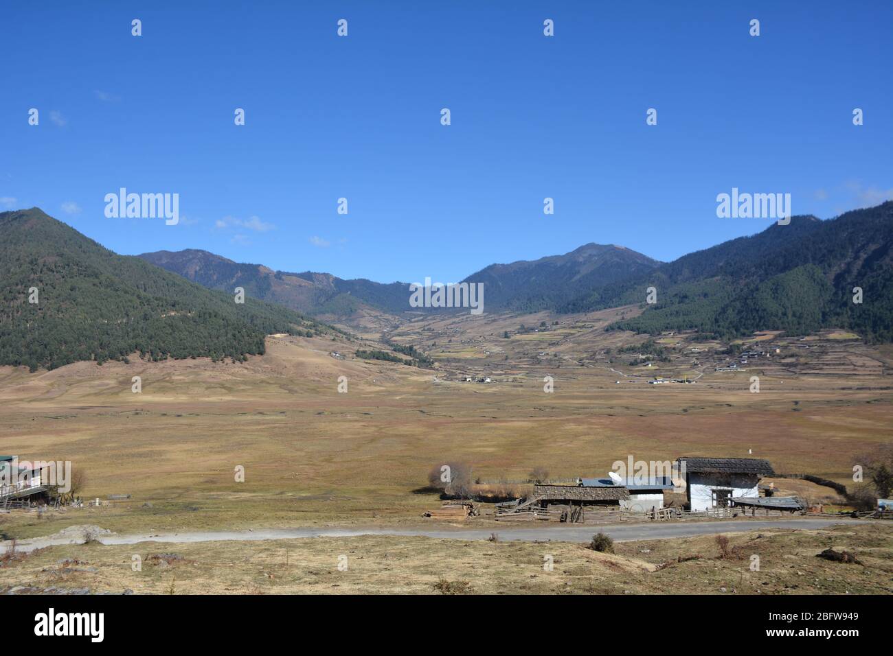 The Phobjikha Valley in Bhutan is a protected area Stock Photo - Alamy