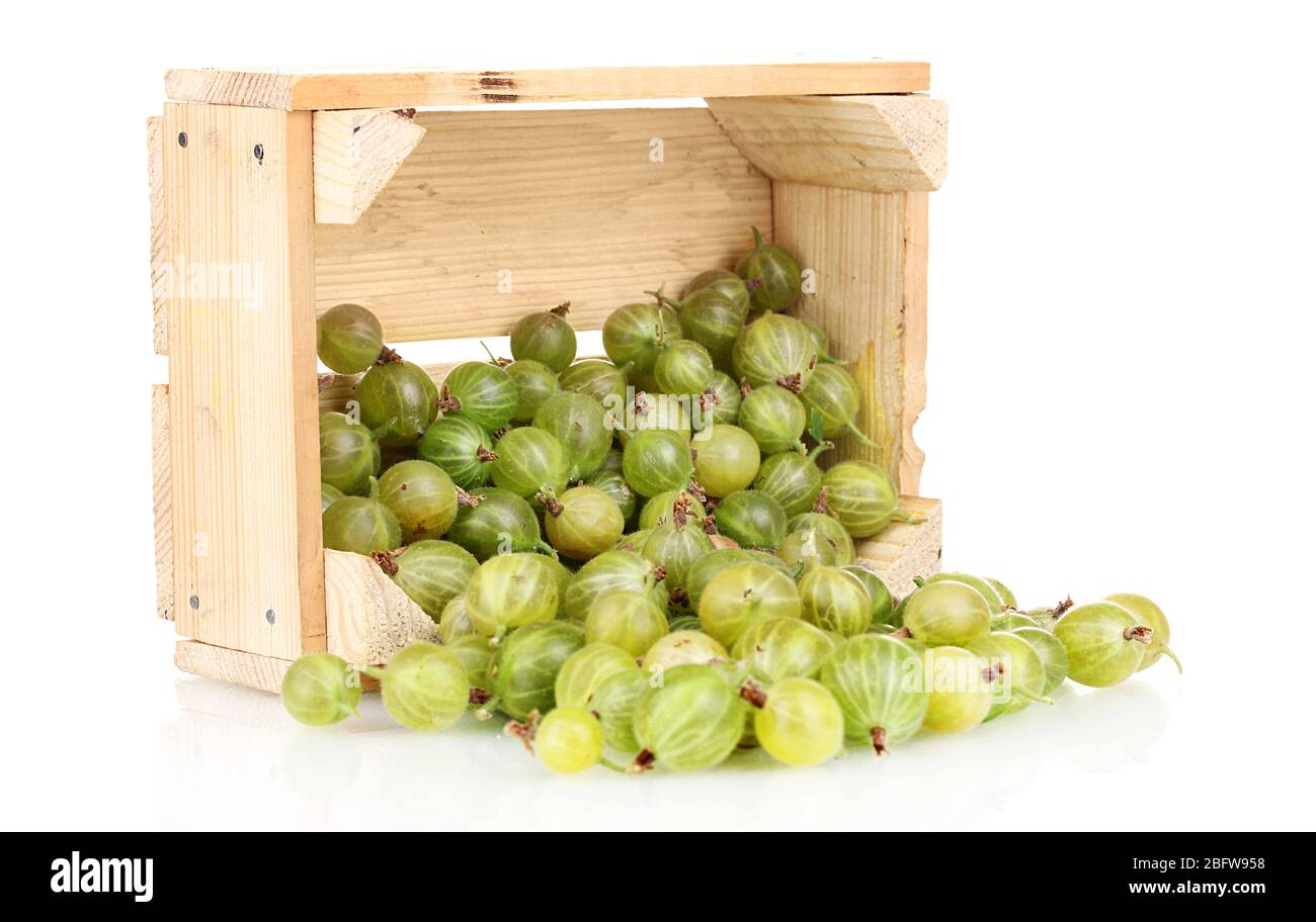 Green gooseberry in crate isolated on white Stock Photo - Alamy