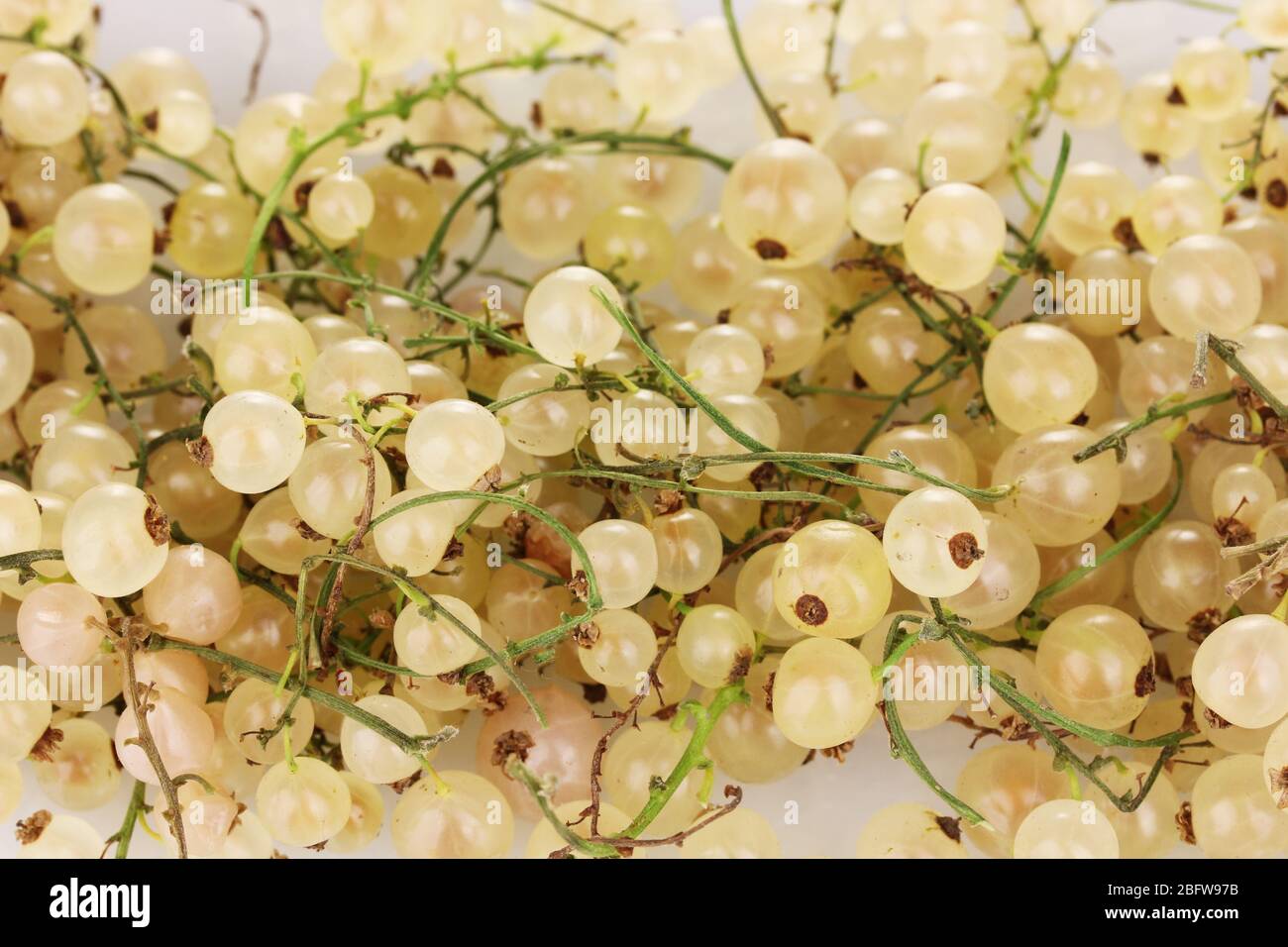 White currants close-up Stock Photo - Alamy