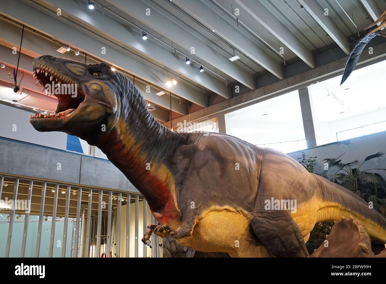 Strong museum of play hi-res stock photography and images - Alamy