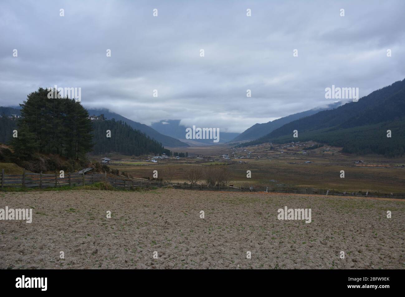 The Phobjikha Valley in Bhutan is a protected area Stock Photo - Alamy