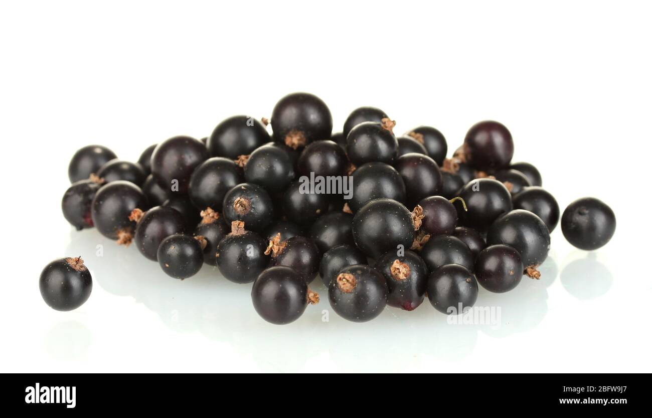 Fresh black currant isolated on white Stock Photo - Alamy