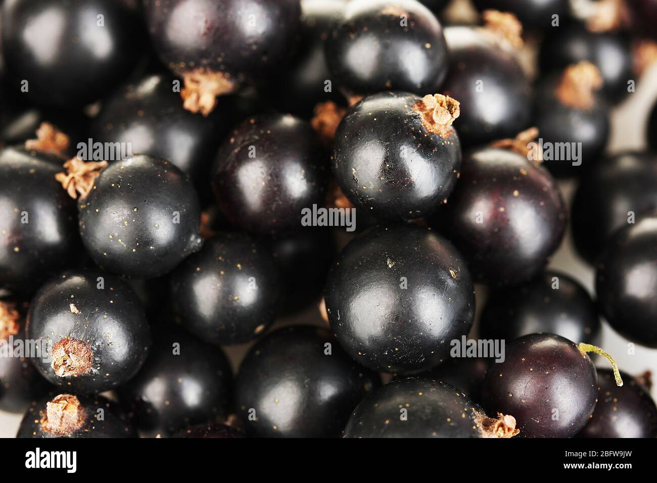 Fresh black currant close-up Stock Photo - Alamy