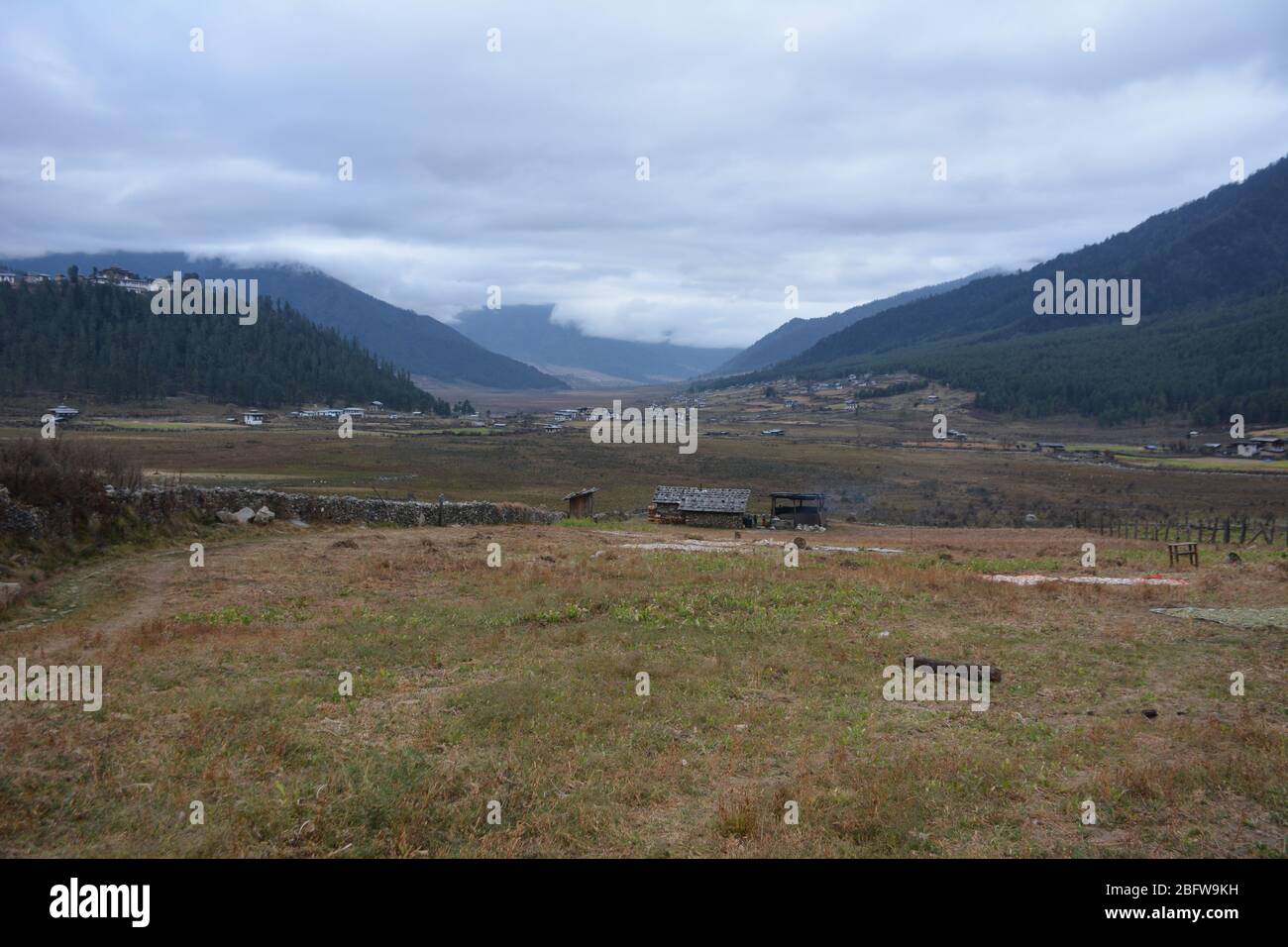 The Phobjikha Valley in Bhutan is a protected area Stock Photo - Alamy