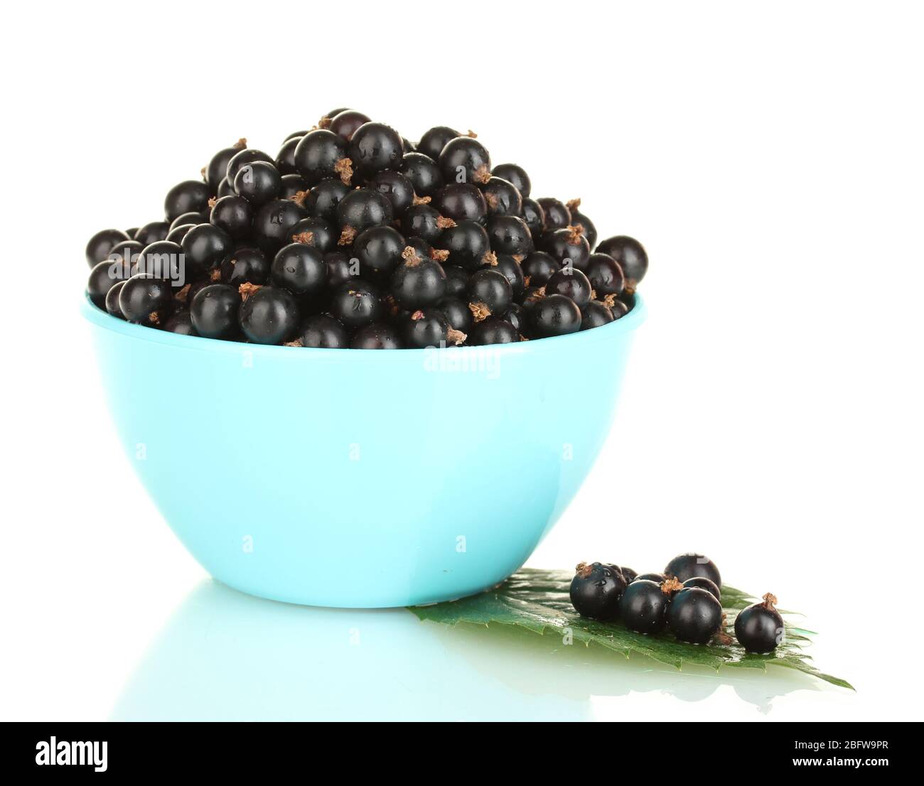 Fresh black currant in blue bowl isolated on white Stock Photo - Alamy