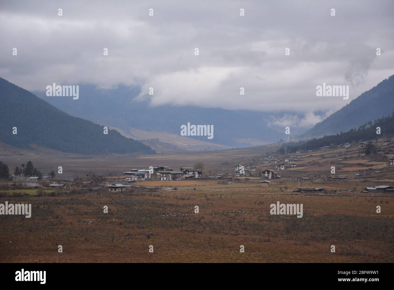 The Phobjikha Valley in Bhutan is a protected area Stock Photo - Alamy
