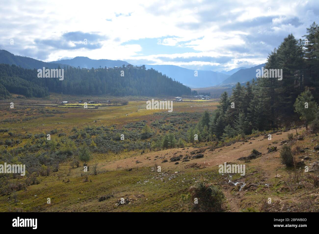 The Phobjikha Valley, Bhutan Stock Photo - Alamy