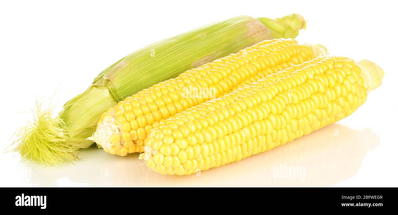 Fresh corn cobs isolated on white Stock Photo - Alamy