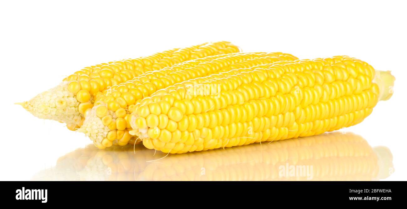 Fresh corn cobs isolated on white Stock Photo - Alamy