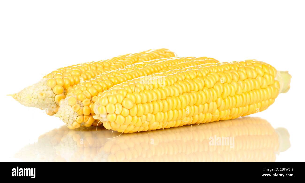 Three corn cobs isolated hi-res stock photography and images - Alamy
