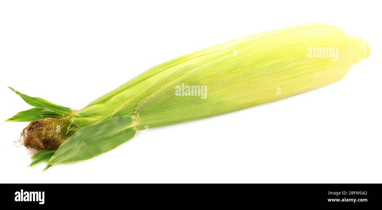 fresh corn isolated on white Stock Photo - Alamy