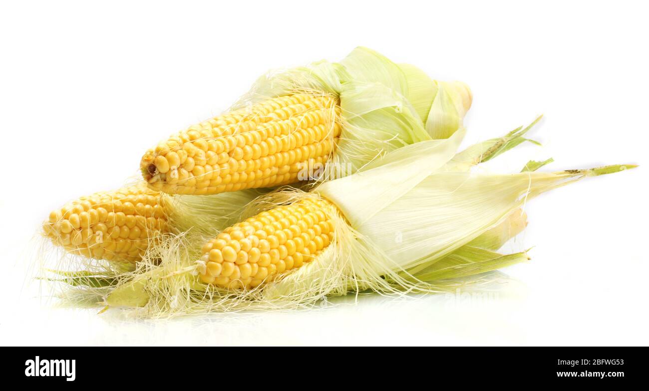 fresh corn isolated on white Stock Photo - Alamy