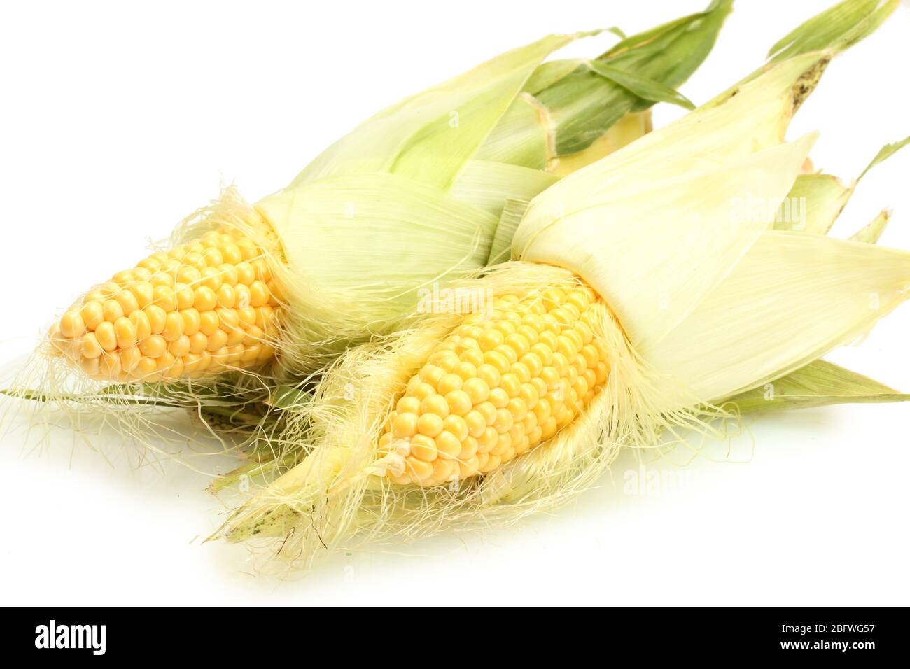 fresh corn isolated on white Stock Photo - Alamy