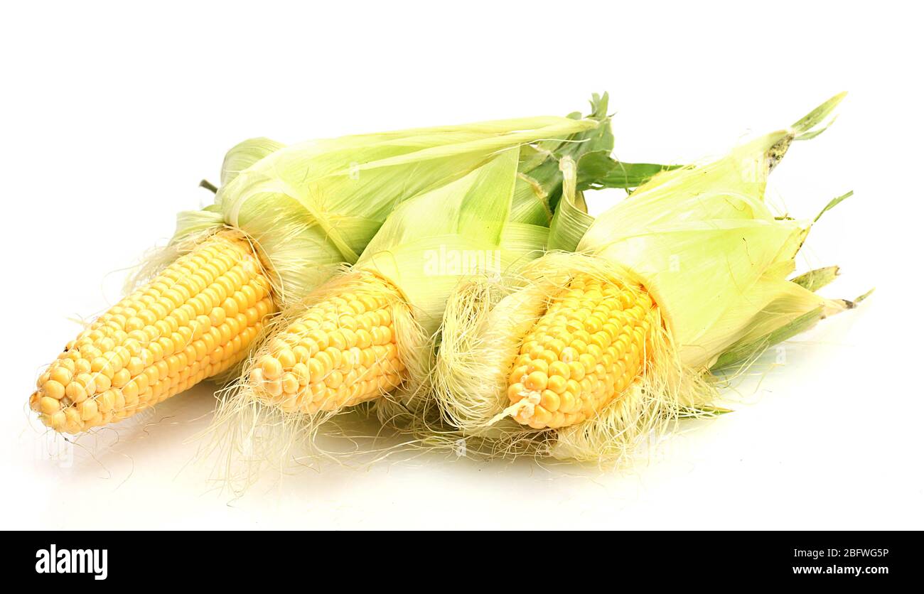 fresh corn isolated on white Stock Photo - Alamy