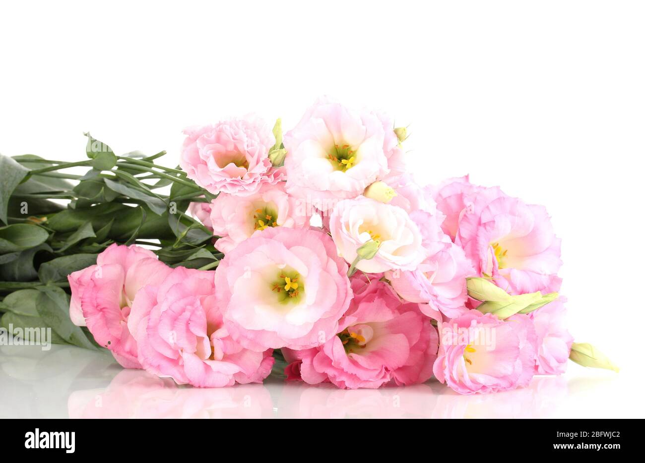 bouquet of eustoma flowers, isolated on white Stock Photo - Alamy