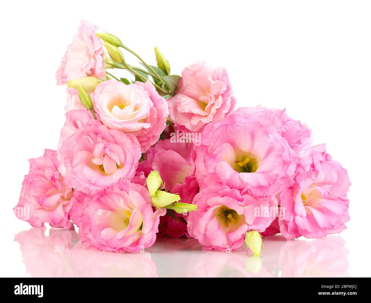 bouquet of eustoma flowers, isolated on white Stock Photo - Alamy