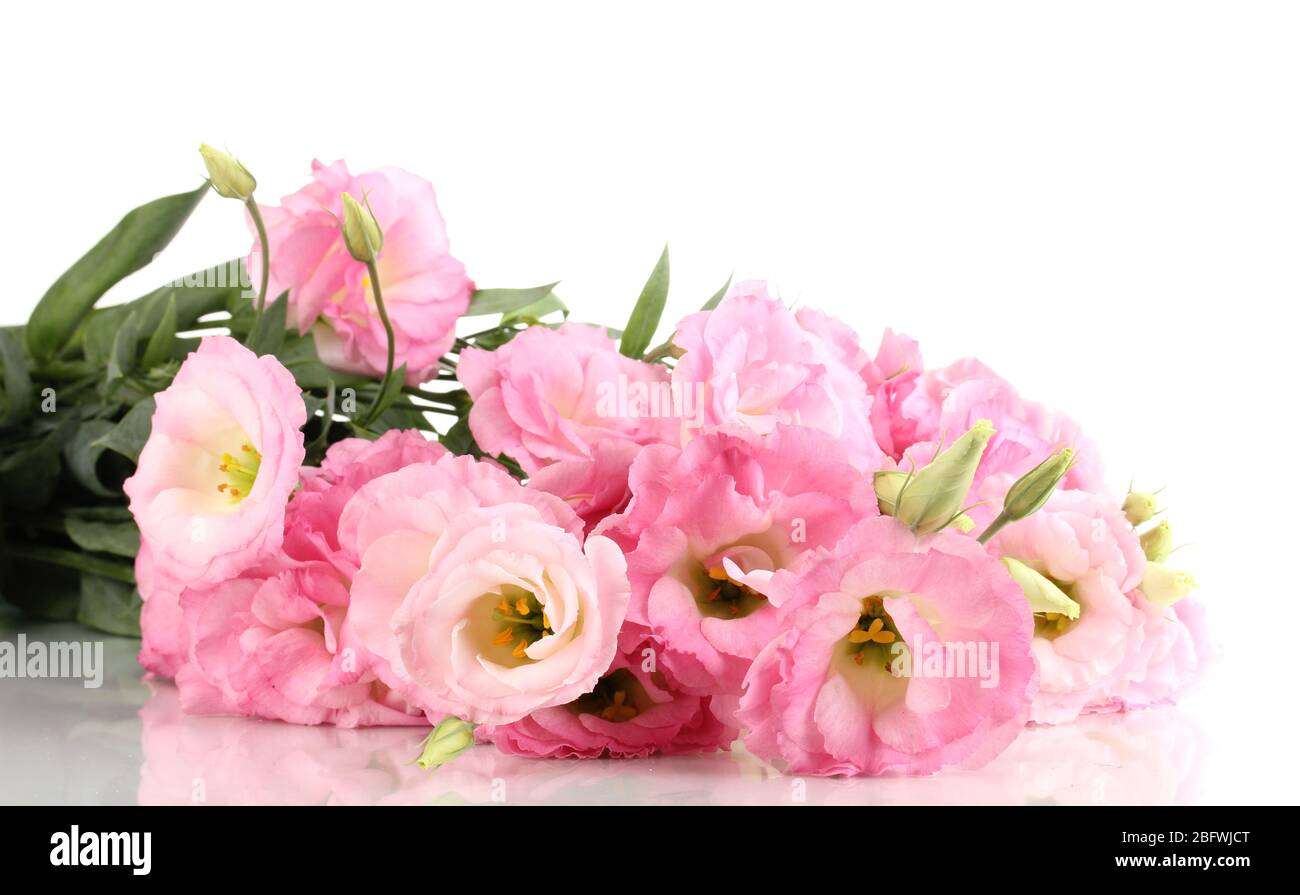 bouquet of eustoma flowers, isolated on white Stock Photo - Alamy