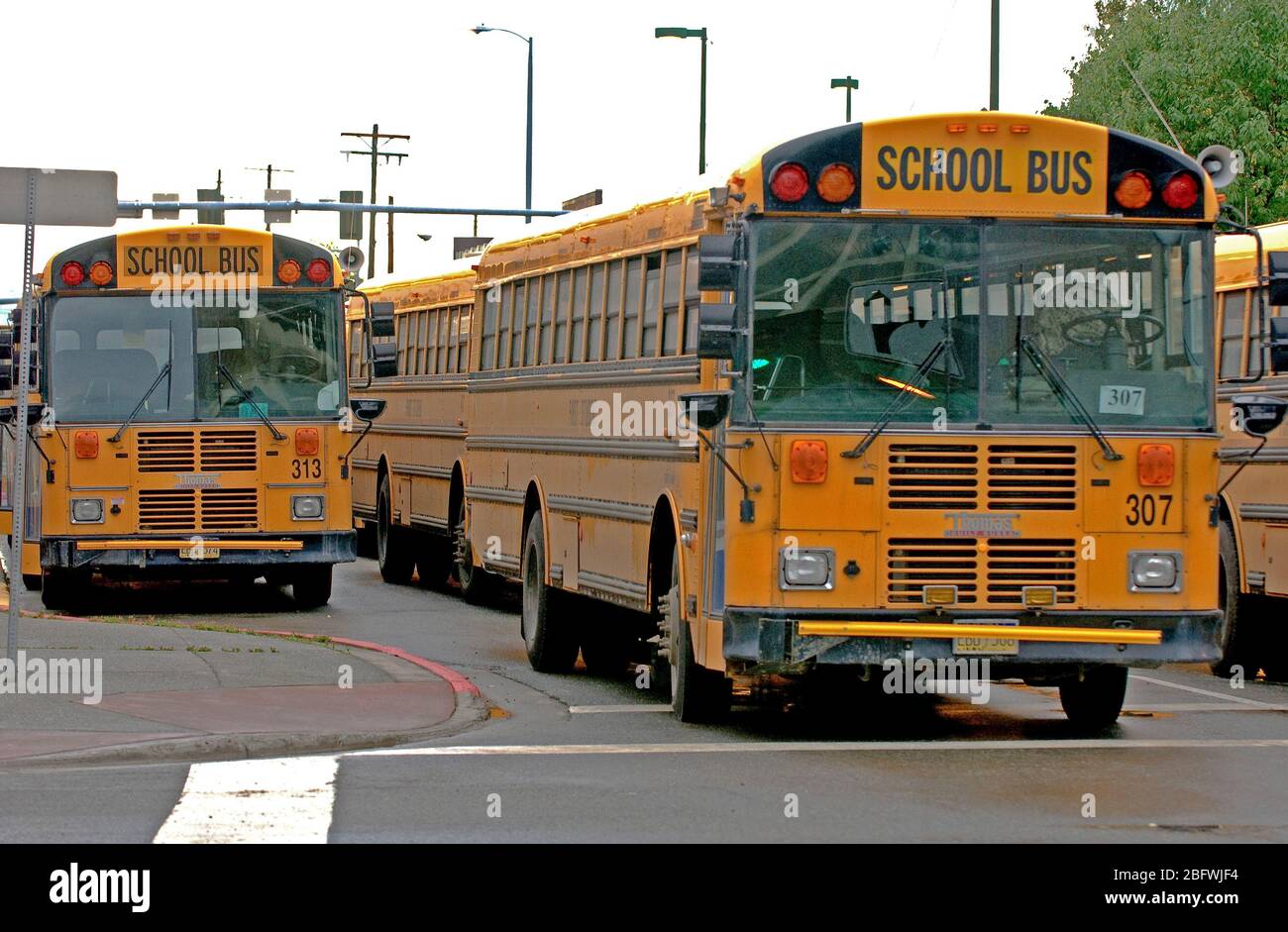 Multiple School Bus