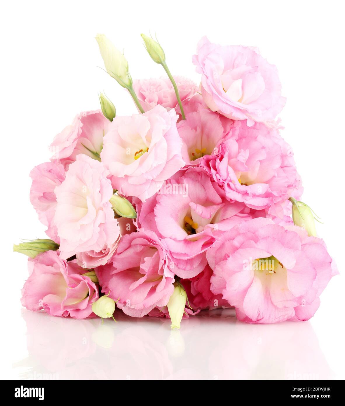 bouquet of eustoma flowers, isolated on white Stock Photo - Alamy