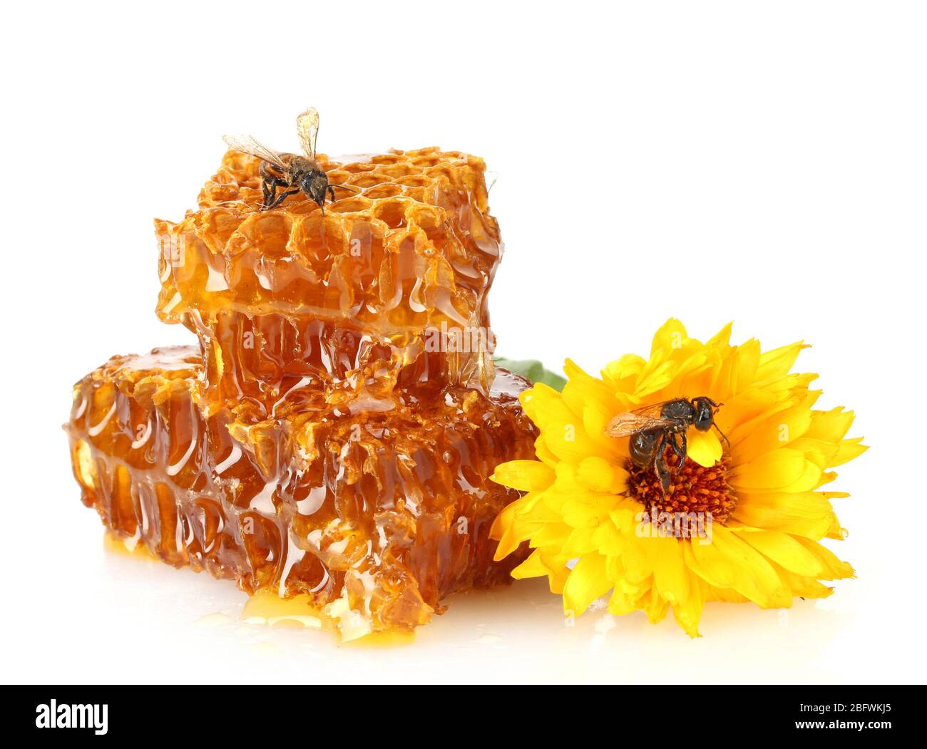 sweet honeycomb with honey, bee and flower, isolated on white Stock ...