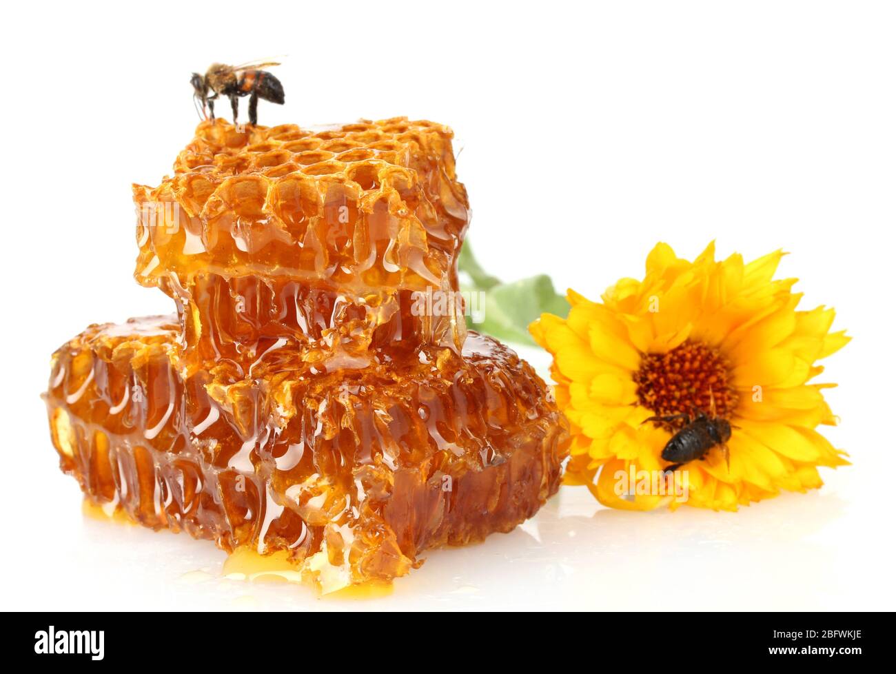 sweet honeycomb with honey, bee and flower, isolated on white Stock ...
