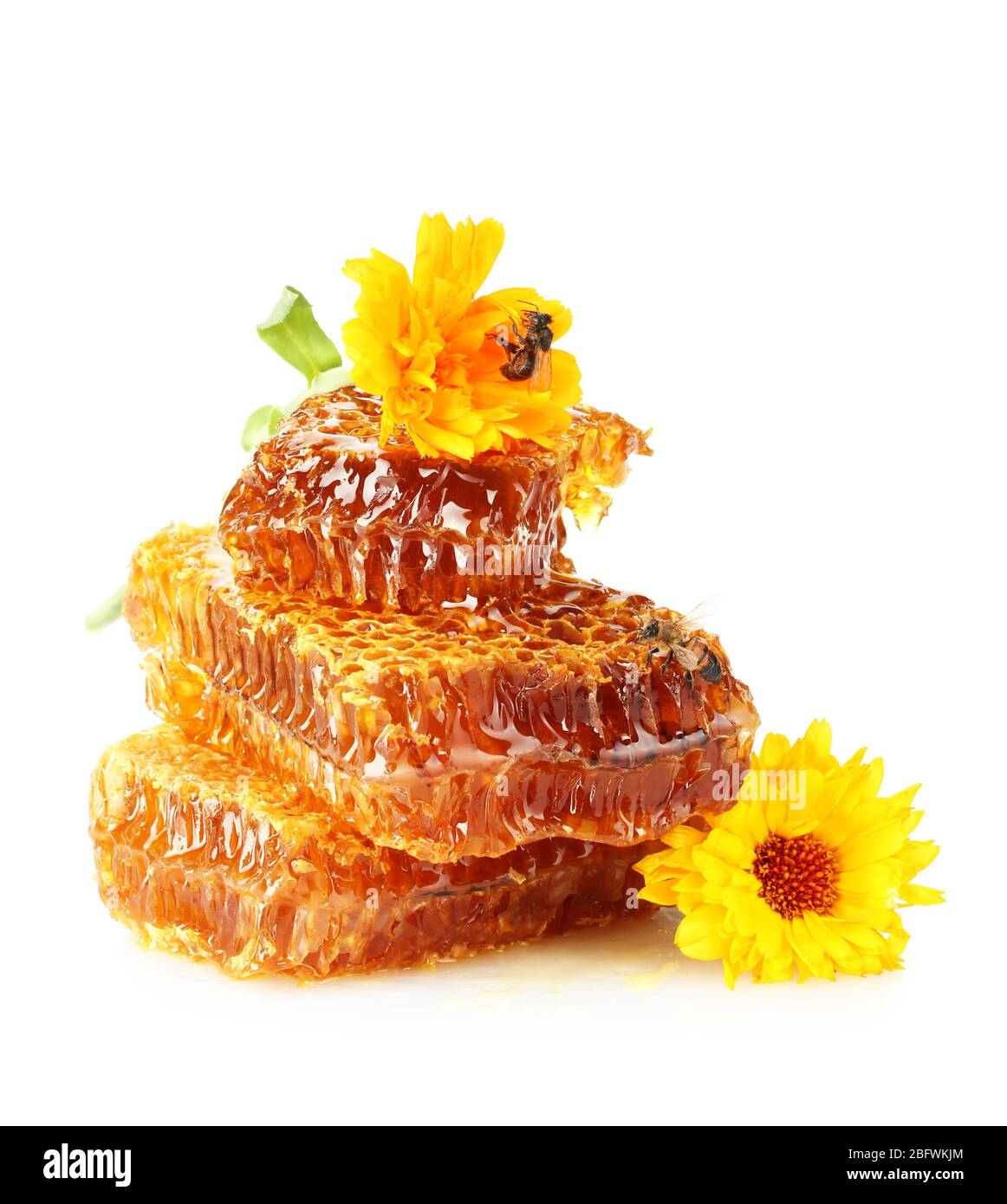 sweet honeycomb with honey, bee and flowers, isolated on white Stock ...