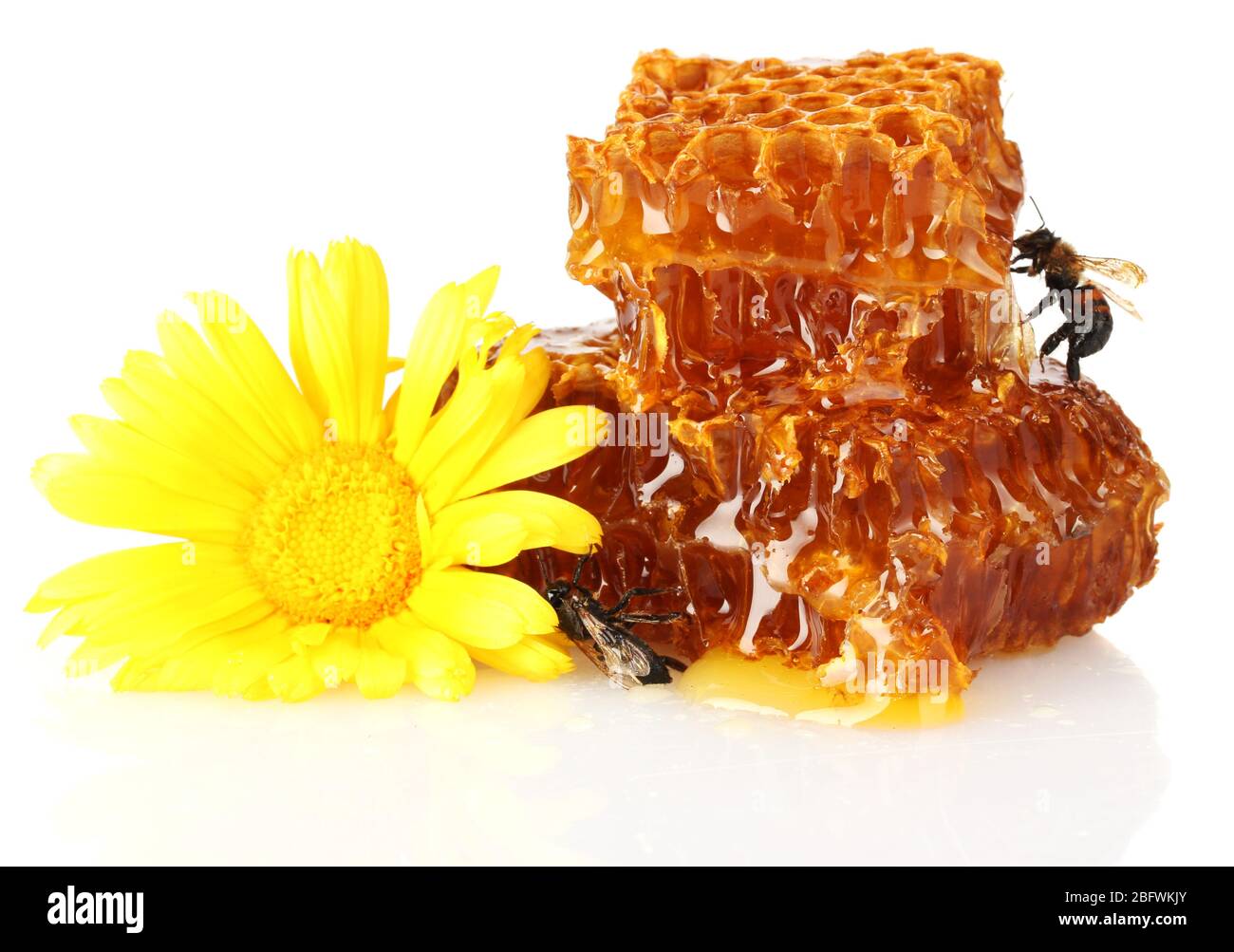 sweet honeycomb with honey, bee and flower, isolated on white Stock ...