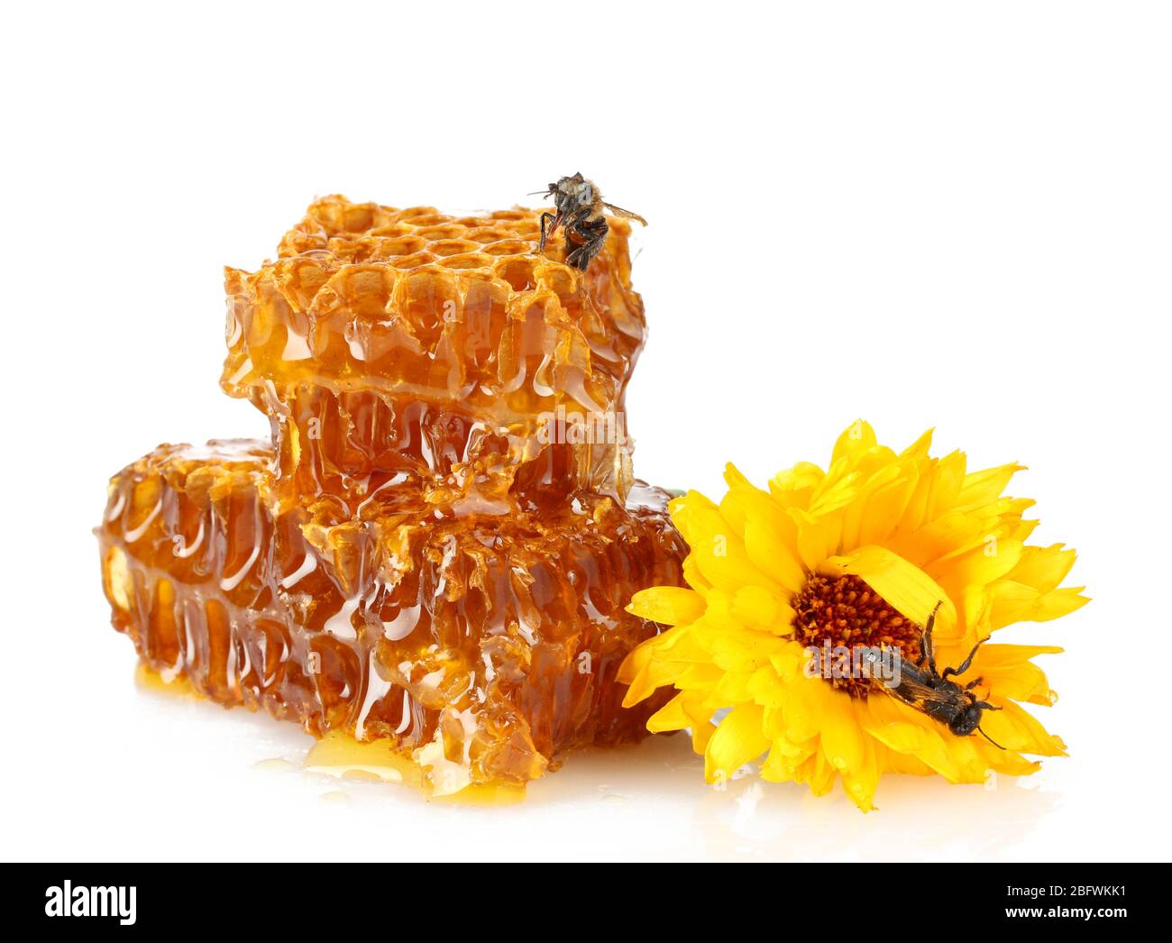 sweet honeycomb with honey, bee and flower, isolated on white Stock ...