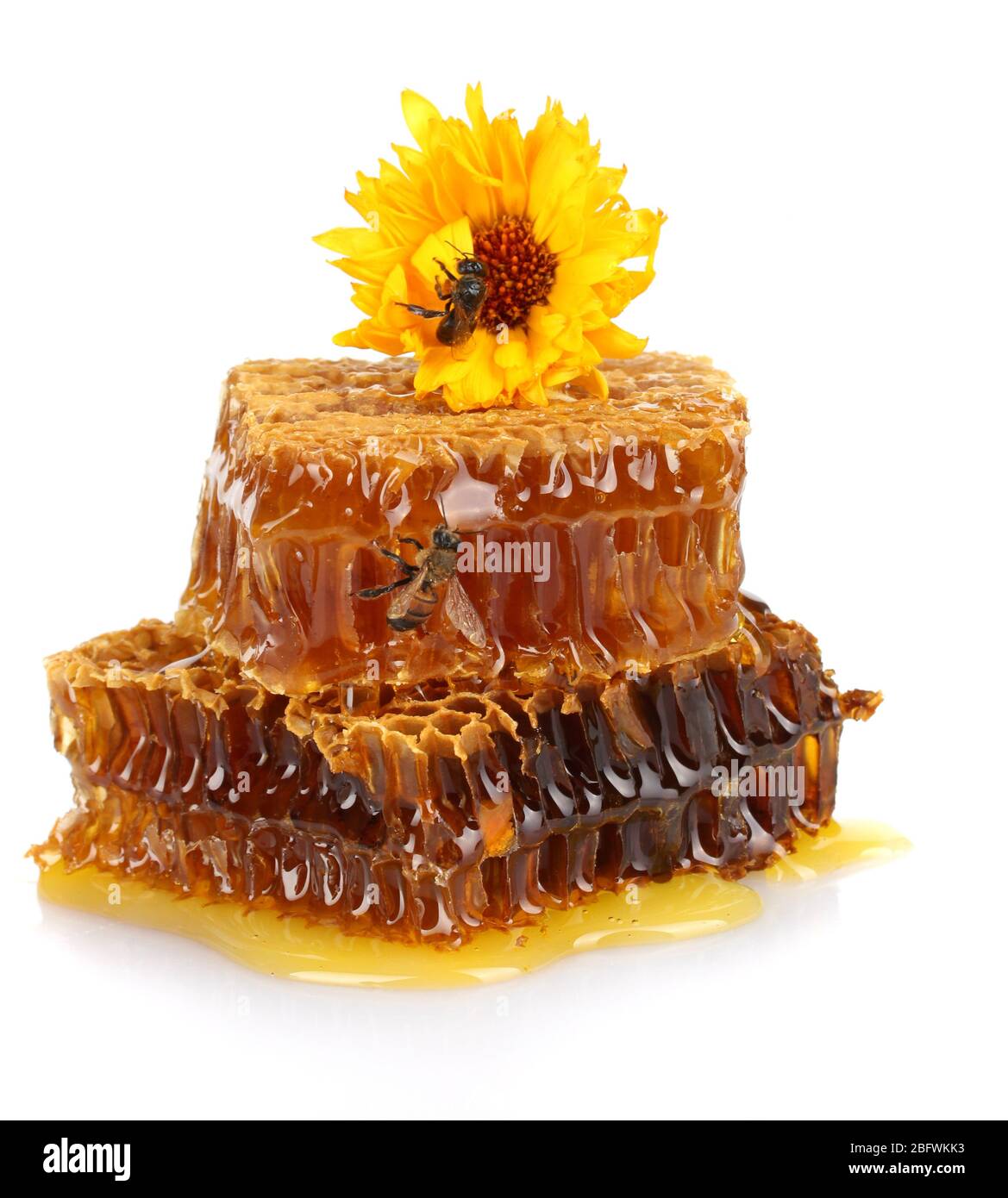 sweet honeycomb with honey, bee and flower, isolated on white Stock ...