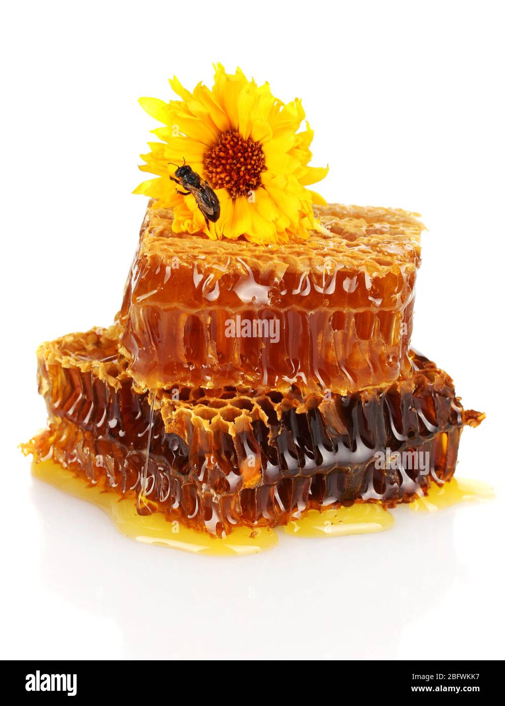 sweet honeycomb with honey, bee and flower, isolated on white Stock ...