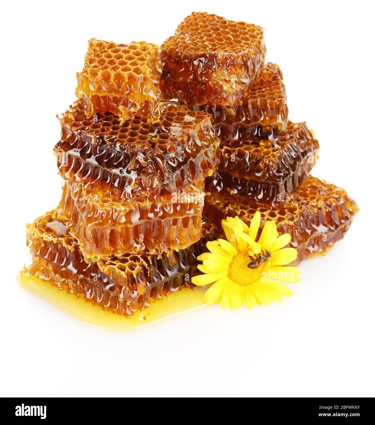 sweet honeycomb with honey, bee on flower, isolated on white Stock ...