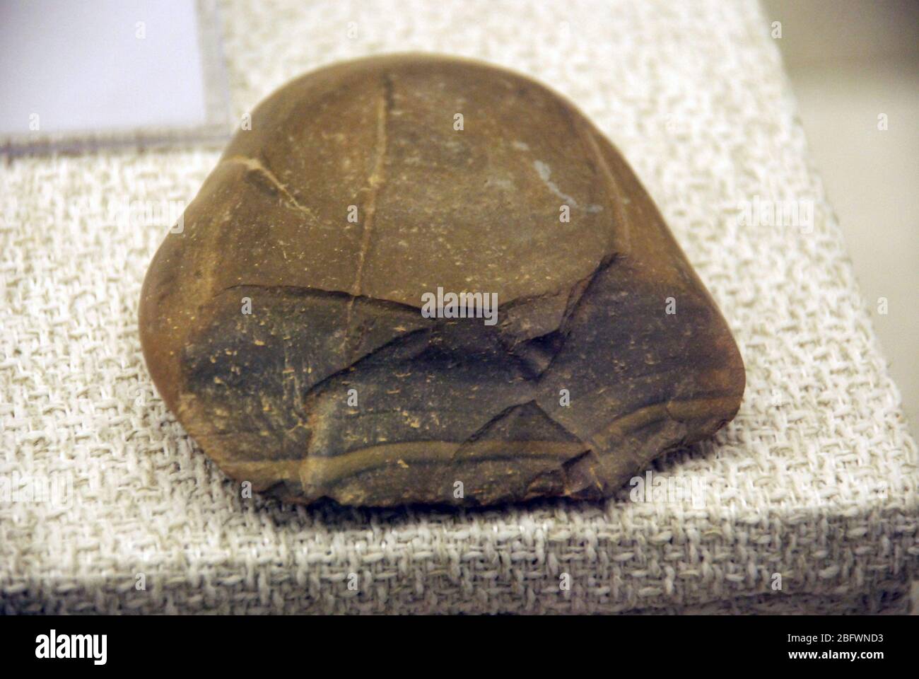 Paleolithic age hi-res stock photography and images - Alamy