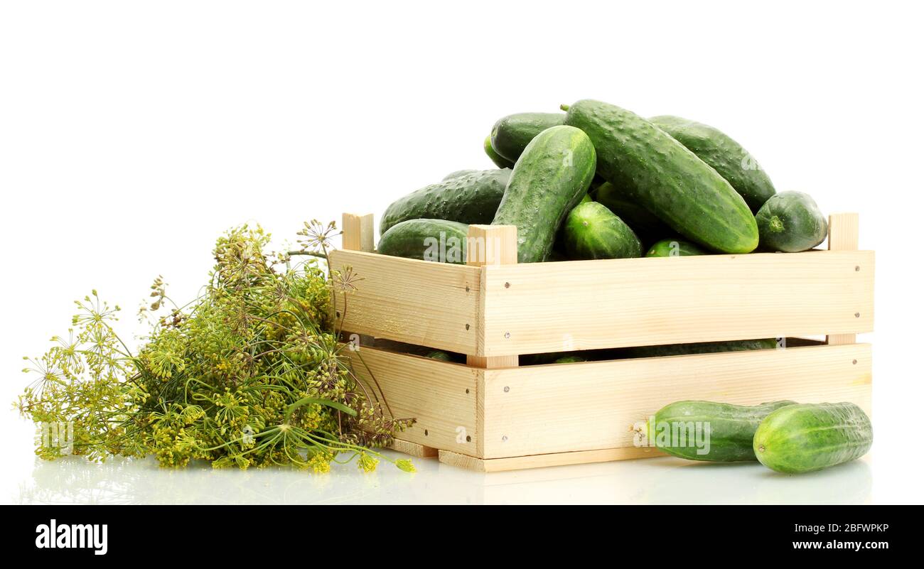 fresh cucumbers in wooden box and dill isolated on white Stock Photo ...