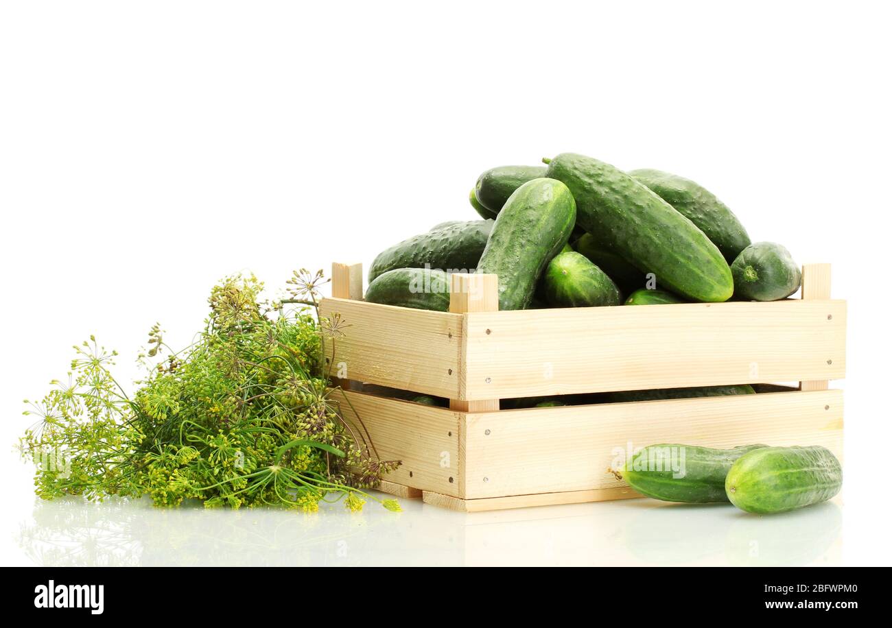 fresh cucumbers in wooden box and dill isolated on white Stock Photo ...