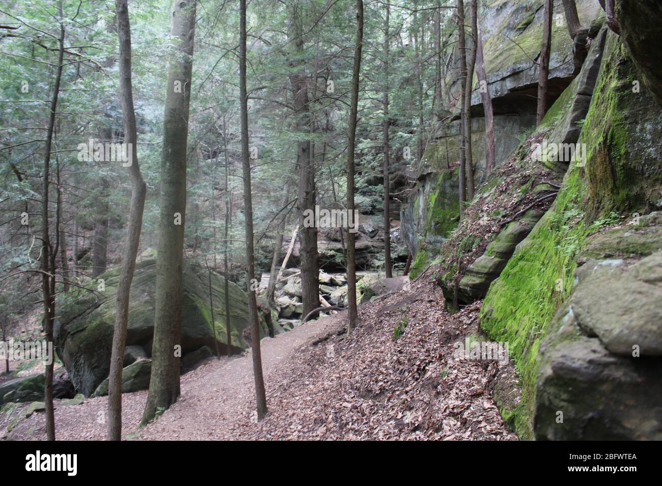 Old man cave walk trail and water fall in Ohio State,nature green ...