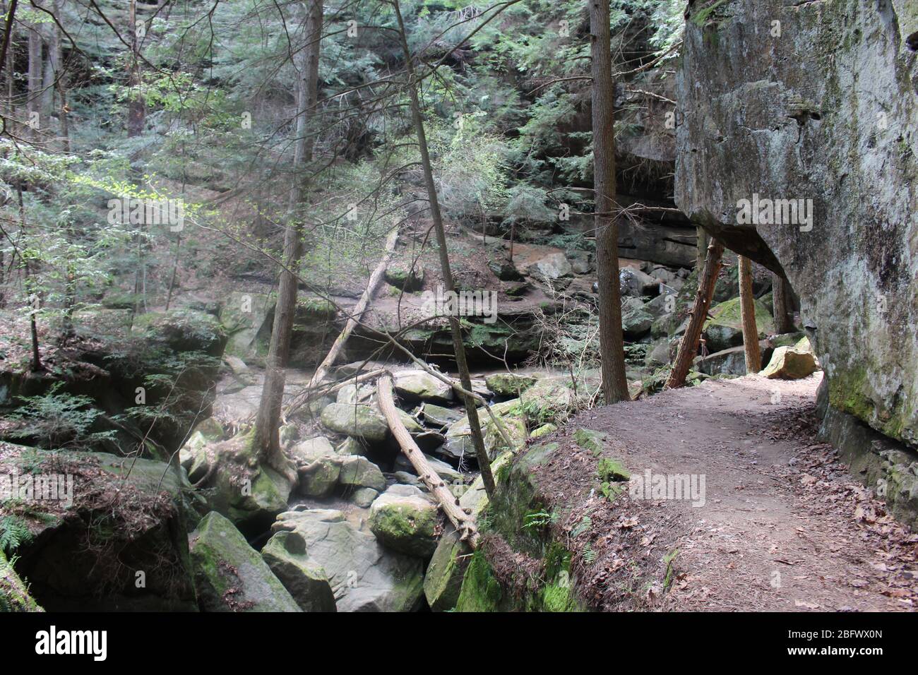 Old man cave walk trail and water fall in Ohio State,nature green ...