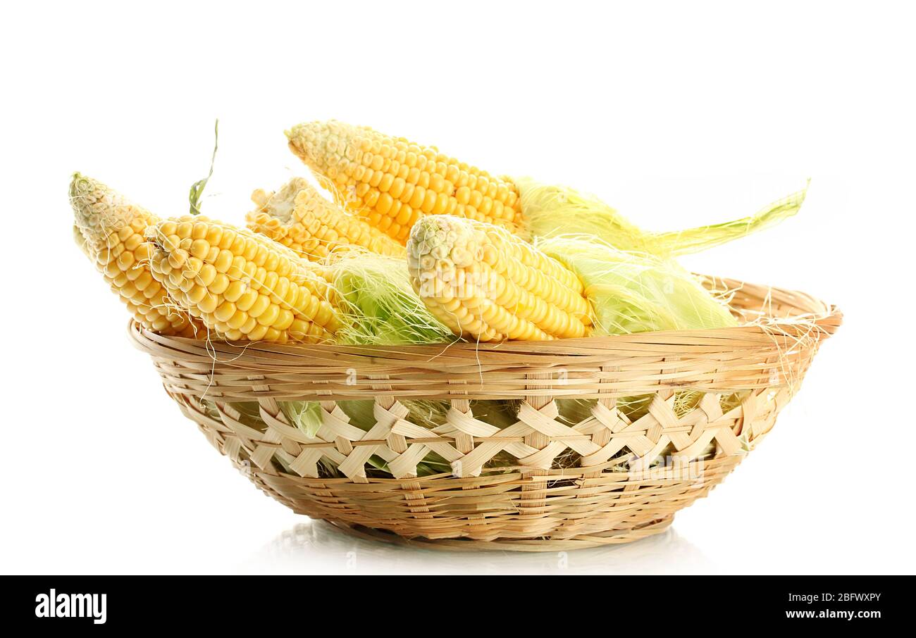 fresh corn in basket, isolated on white Stock Photo - Alamy