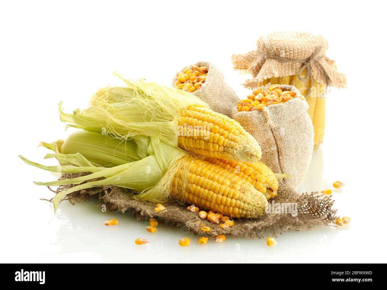 fresh corn and bags with dry corn, isolated on white Stock Photo - Alamy