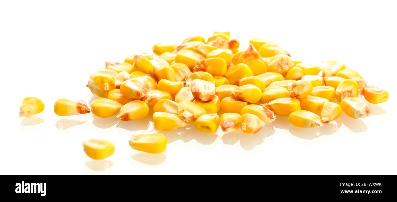 dried corn, isolated on white Stock Photo - Alamy