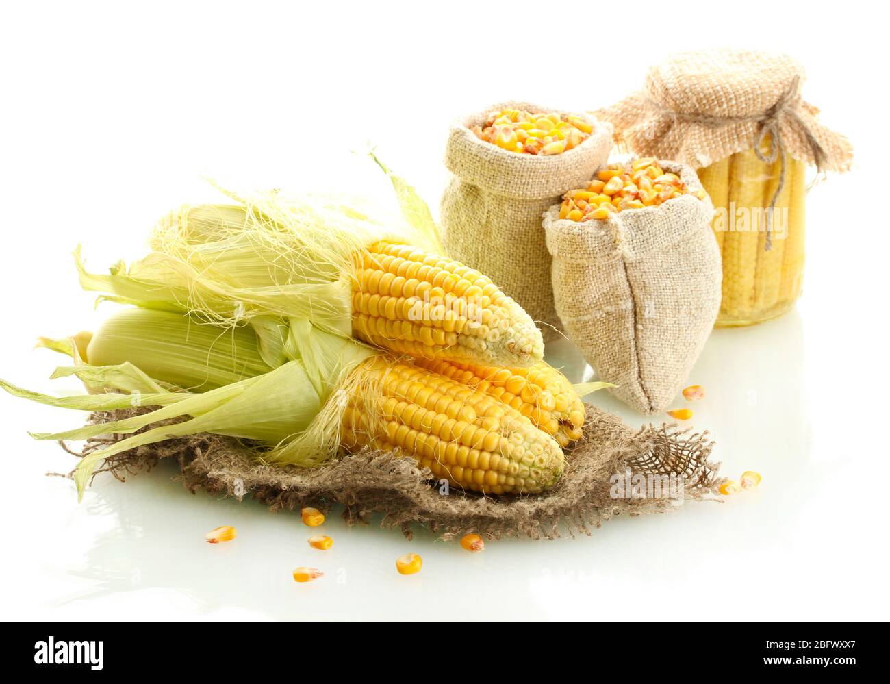 fresh corn and bags with dry corn, isolated on white Stock Photo - Alamy