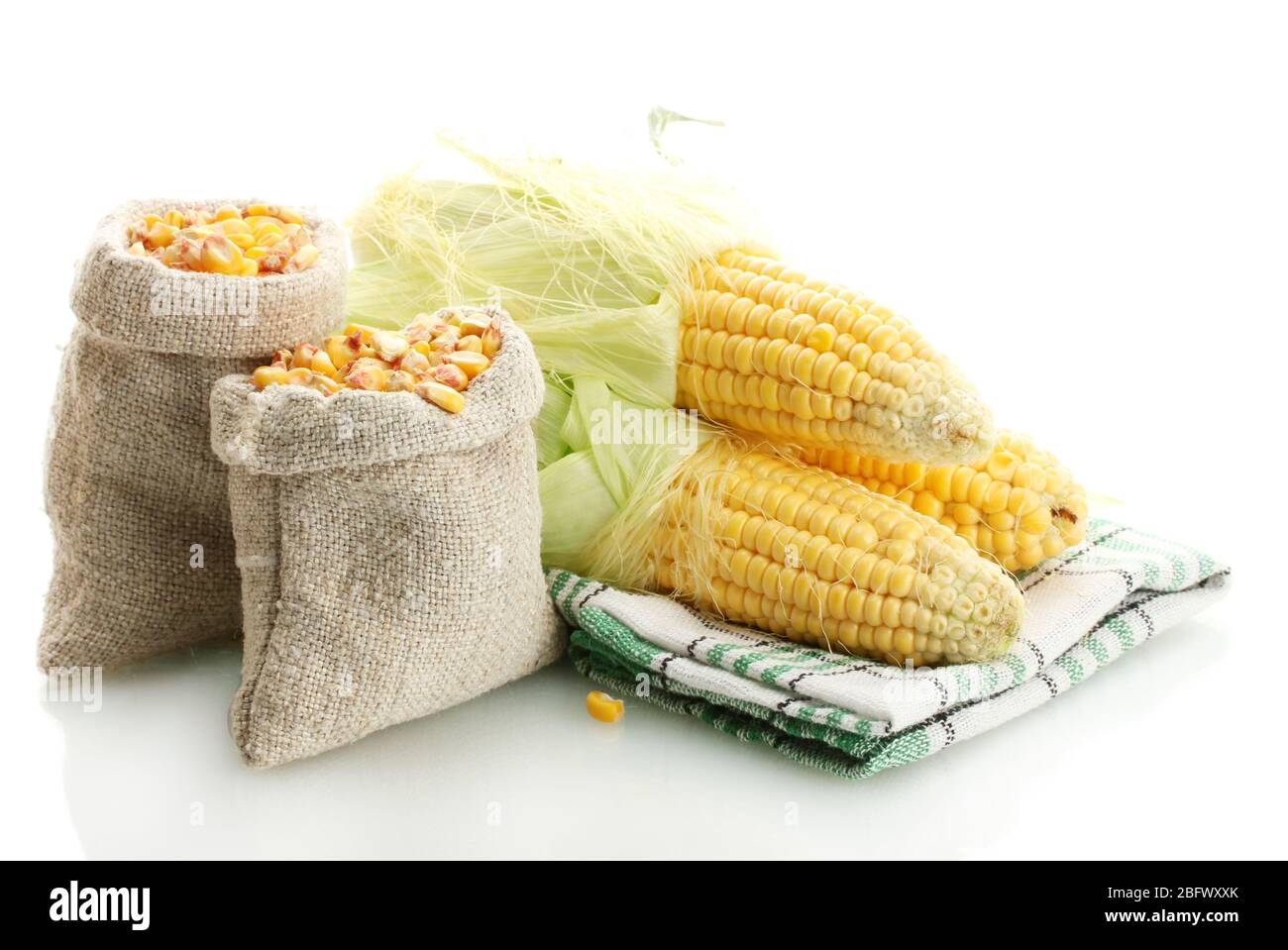 fresh corn and bags with dry corn, isolated on white Stock Photo - Alamy