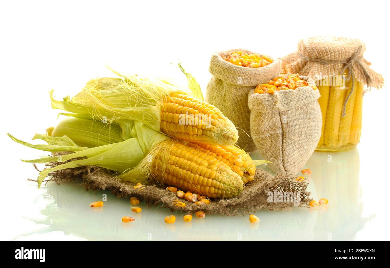 fresh corn and bags with dry corn, isolated on white Stock Photo - Alamy