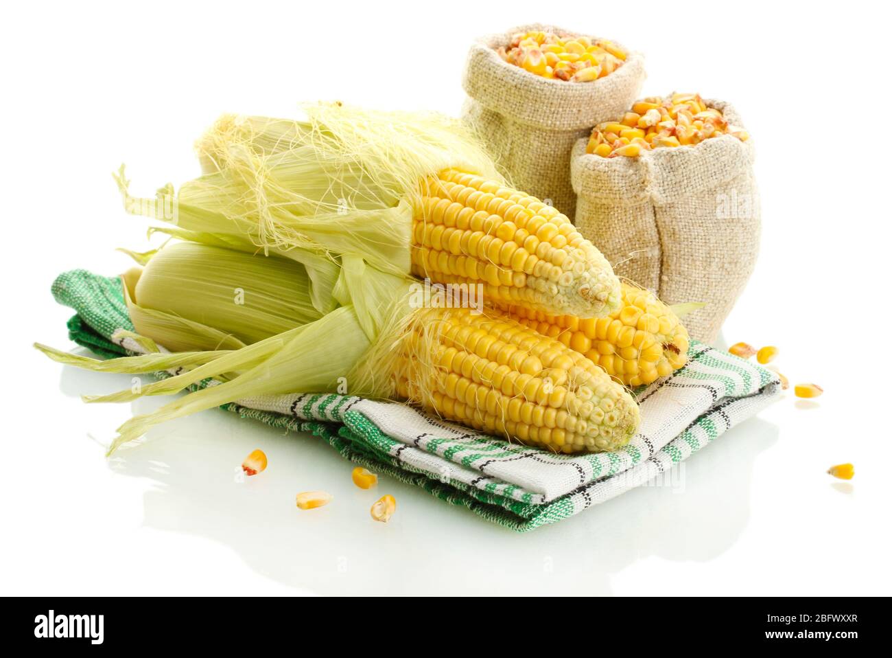 fresh corn and bags with dry corn, isolated on white Stock Photo - Alamy